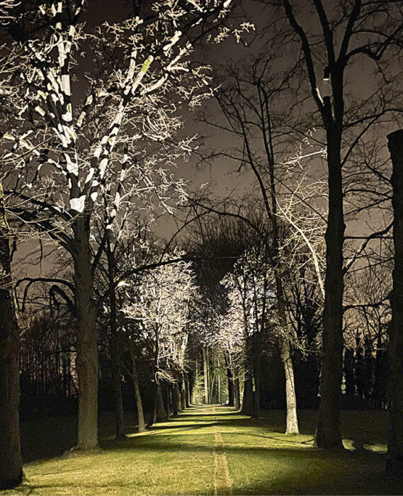 Skapar magi och poesi med ljus - Ljuskultur